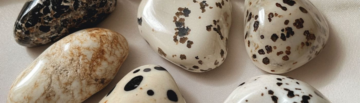 Dalmatian Jasper Meaning: Healing Properties, History and Uses